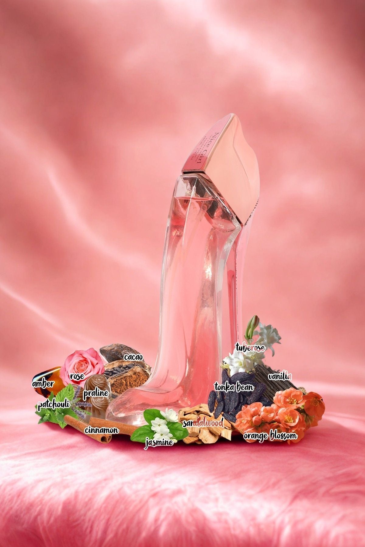 NICE GIRL LET'S PARTY IN PARIS SPRAY PERFUME EAU DE PARFUM FOR WOMEN ...